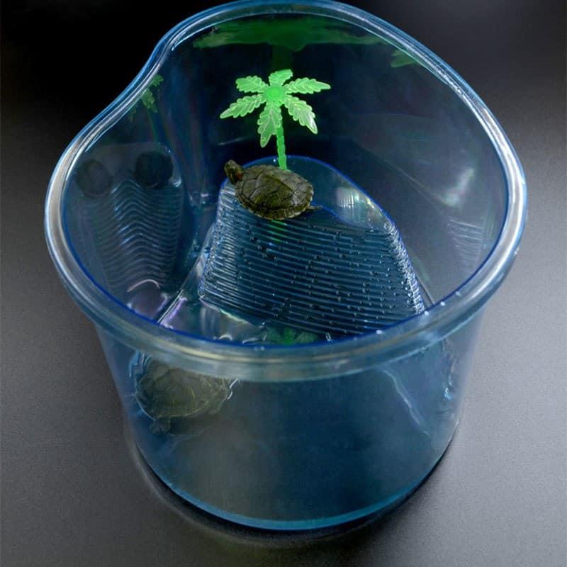Transparent Plastic Terrariums For Turtles – Trendha