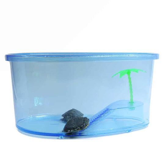 Transparent Plastic Terrariums For Turtles – Trendha